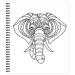 Large Print Easy Color & Frame - Nature (Stress Free Coloring Book)