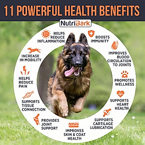 Senior Dog Joint Supplement -1000mg Glucosamine for Dogs -Advanced Hip & Joint Support Chews w/Glucosamine, Chondroitin, MSM, Turmeric & Omega 3 for Pain & Inflammation Relief, Improved Mobility