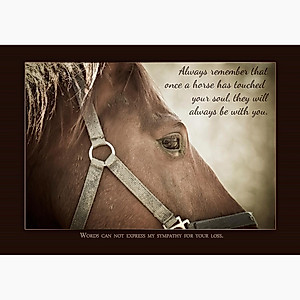 CafePress Horse Sympathy (Pk Of 20) Greeting Cards Greeting Card (20-pack), Note Card with Blank Inside, Birthday Card Glossy