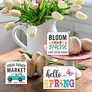 Huray Rayho Party Hello Spring Tiered Tray Decorations Farmhouse Mini Wood Decor Easter Table Centerpieces Fresh Flower Market Home 3D Signs Seasonal Bloom Butterfly Kitchen Wooden Ornaments Set of 3