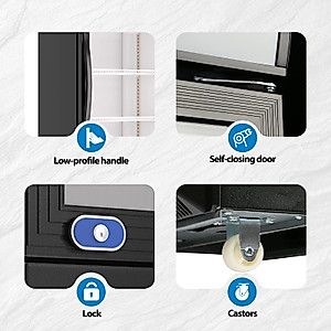 KICHKING 8.0 Cu.ft Merchandiser Refrigerator, 35~46?, 21.7" W Glass Door Upright Display Refrigerator, Light Box Beverage Cooler, LED Lighting, Drink Fridge-Black, for Home Restaurant Grocery Stores