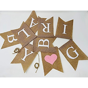 Shimmer Anna Shine Baby Girl Burlap Banner for Baby Shower Decorations and Gender Reveal Party (Light Pink Heart)