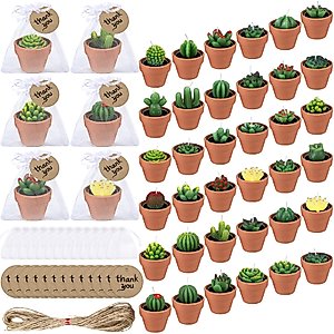 Treela 36 Pcs Mini Cactus Tealight Candles Succulent Candles Party Favors Plant Candle with Mini Terracotta Clay Candle Holders, Gift Tags, Organza Bags, Twine for Wedding Party