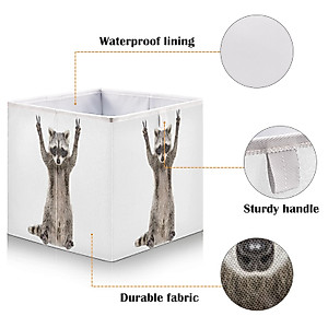 Kigai Raccoon Say Yeah Cube Storage Bins - 11x11x11 In Large Foldable Storage Basket Fabric Storage Baskes Organizer for Toys, Books, Shelves, Closet, Home Decor