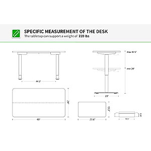 BANTI Dual Motor Adjustable Height Standing Desk, Electric Sit Stand Desk with Screen Panel, 48 x 24 Inches Stand up Desk, Home Office Desk with Rubberwood Top and Black Frame B-SDE-SP48BO-D