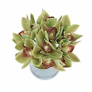 Blooming Paradise 12pcs Real Touch Artificial Fake Plants Silk Cymbidium Orchid Flowers Arrangements Wedding Bouquets Decorations Plastic Floral Table Centerpieces Home Kitchen Garden Party White