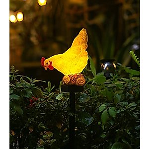 CHUANGFENG Solar Chicken Lights Chicken Statue Decorative Outdoor Chicken Solar Light Garden Decor for Outdoor Patio Yard Art Decoration