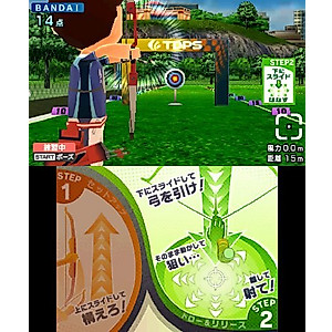 DualPenSports - Nintendo 3DS (Renewed)