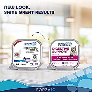 Forza10 Wet Cat Food Intestinal, Fish Salmon Cat Food Flavor, Sensitive Stomach Wet Cat Food for Adult Cats with Gastrointestinal and Digestive Problems, 12 Packs of 3.5 Ounce Each