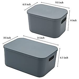 Hacaroa 3 Pack Plastic Storage Bins with Lids, Tote Organizing Container Stackable Storage Box with Handle Cabinet Organizer for Pantry, Bedroom, Cosmetics and Snacks, 2 Size, Dusty Blue