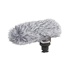 Canon 2591B002 DM-100 Directional Stereo Microphone for HF/HG Series Camcorders , black