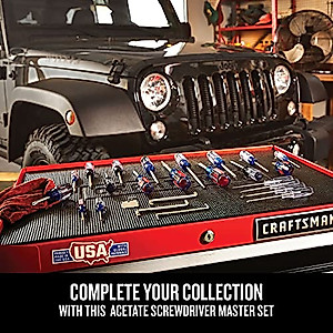 CRAFTSMAN Screwdriver Set, 42 Pieces, Acetate Handle, Made of Steel with Satin-Nickle Finish (CMHT65300)