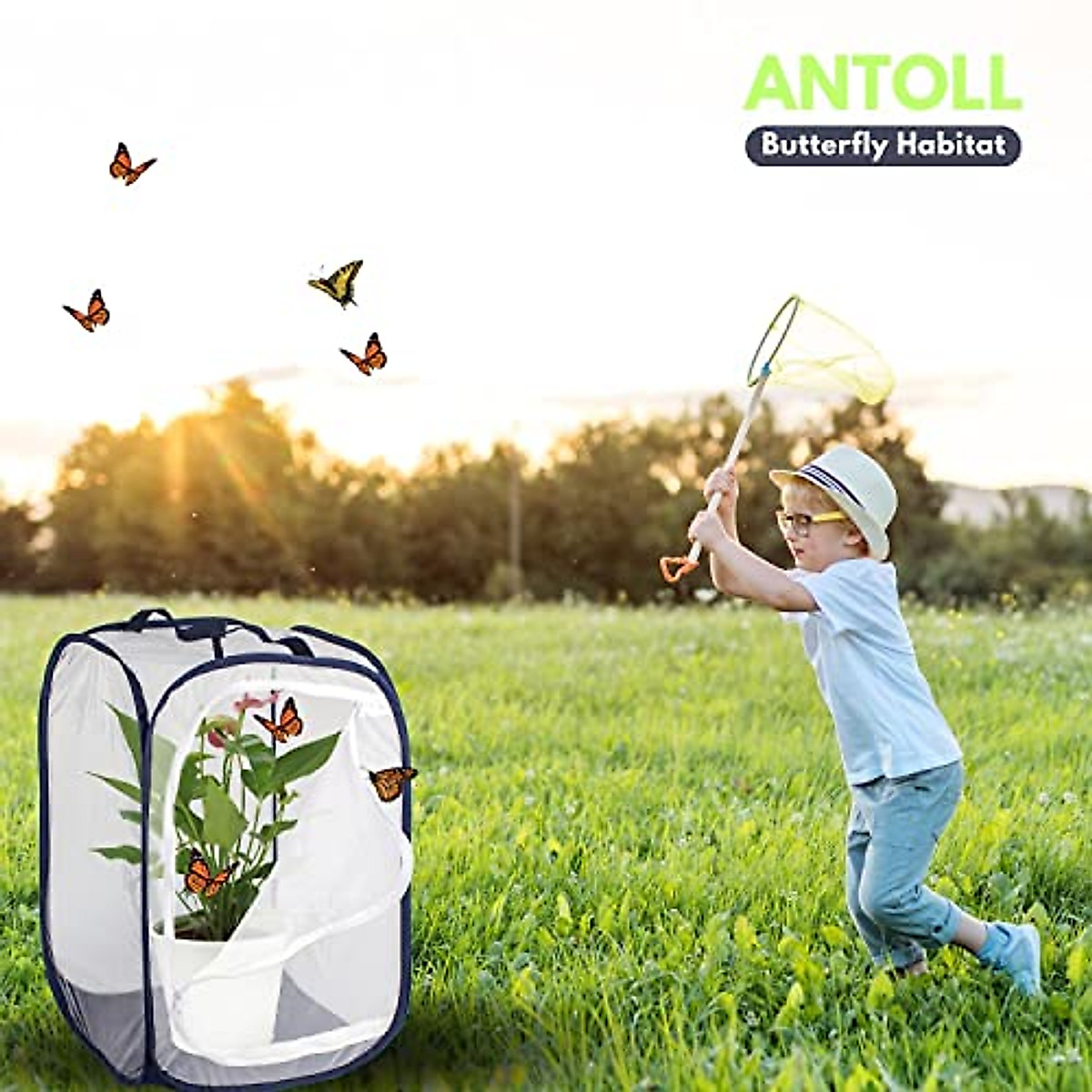 Antoll 3Pcs 24" M Size Blue Butterfly Habitat Cage, Monarch Butterfly Habitat, Butterfly Cage for Caterpillars, Flying Insect Mesh Cage, Outdoor Observation Plant, Pop-Up Open Size: 16"x16"x24"