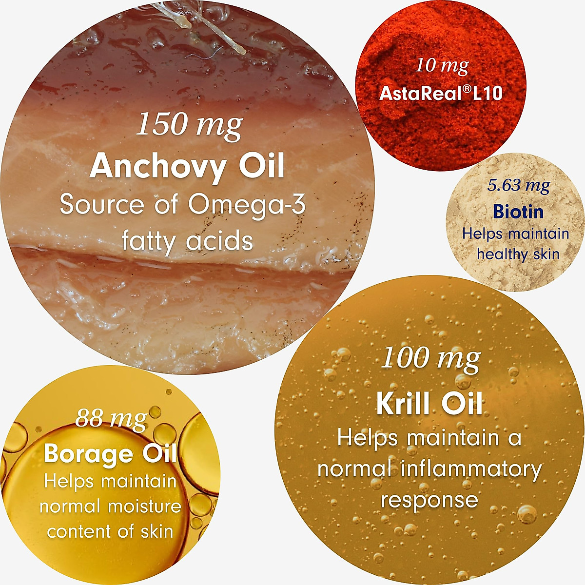 PetLab Co. Salmon Itch Relief Chew Pro for Dogs – Omega 3 for Dogs Itch Supplement - Packed with Beneficial Fatty Acids for Healthy Skin – Seasonal Allergies Support