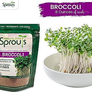 Nature Jims Sprouts Broccoli Sprout Seeds - Certified Organic Broccoli Sprouting Seeds for Indoor/Outdoor Use - Rich in Sulforaphane Healthy, Nutritious Broccoli Seeds Sprout in 5 Days - 8oz