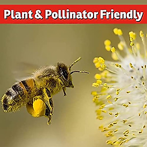 I Must Garden Mosquito Tick and Flea Control: Kills and Repels Biting Insects from Garden, Deck, Campsite – Natural and Pet Safe – 32oz Ready-to-Use Easy Spray Bottle