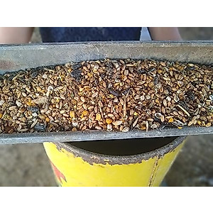 Eden Feeds Layer Feed for Chickens - 40 lb Bag Non GMO Soy and Corn Free Whole Grain Minimally Processed Feed