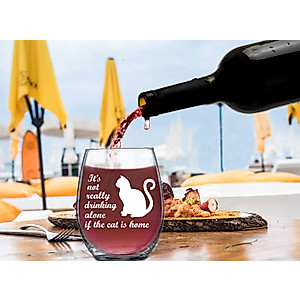 It's Not Really Drinking Alone If The Cat Is Home - 15oz Stemless Wine Glass - Cat Animal Lover Crazy Cat Lady Fur Mama From Son Daughter Husband Nana Papa for Women, Friends, Sisters, Girls