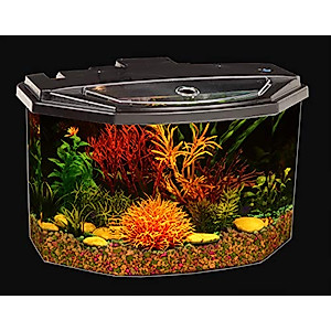Koller Products Plastic 3-Gallon Aquarium Starter Kit with 7 Colors LED Lighting and Complete Filtration, Ideal for a Variety of Tropical Fish , Betta Fish, Tropical Fish, Cichlids, Ornamental Shrimp