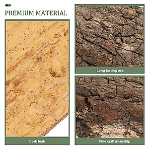 POPETPOP Desktop Reptile Tank Decor Desktop Decor 3Pcs Indoor Terrarium Background Vivid Aquarium Decor Delicate Reptile Bark Reptile Natural Cork Bark Backdrop Cork Aquarium Bark