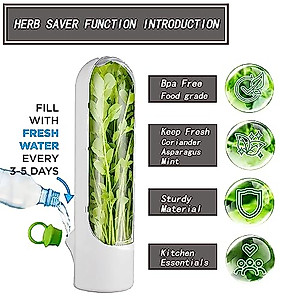 Vamrak Herb Saver for Refrigerator, Fresh Herb Keeper, Cilantro Containers for Refrigerator, Herb Saver Pod, Fresh Herb Keeper for Cilantro, Parsley, Asparagus, Keeps Vegetables for 2-3 Weeks (3PCS)