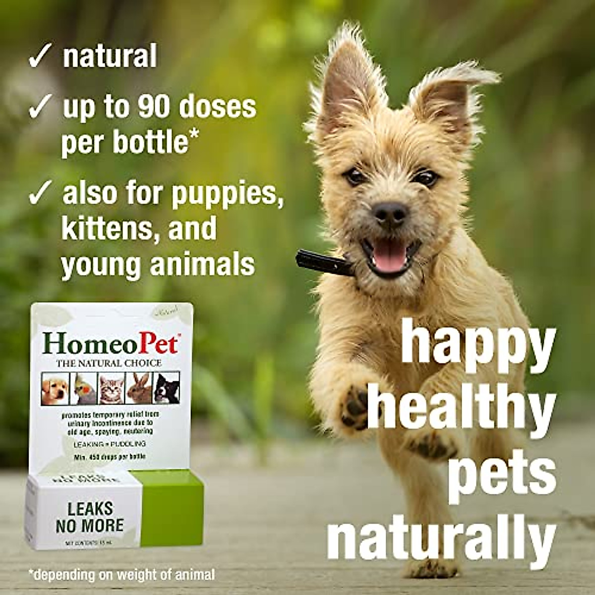 HomeoPet Leaks No More, Urinary Incontinence Relief for Pets, 15 Milliliters