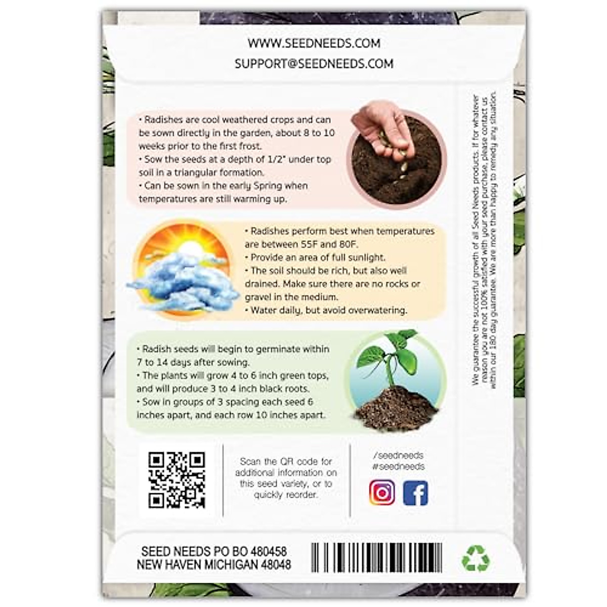 Seed Needs, Black Spanish Radish Seeds - 500 Heirloom Seeds for Planting Raphanus sativus - Non-GMO & Untreated (2 Packs)