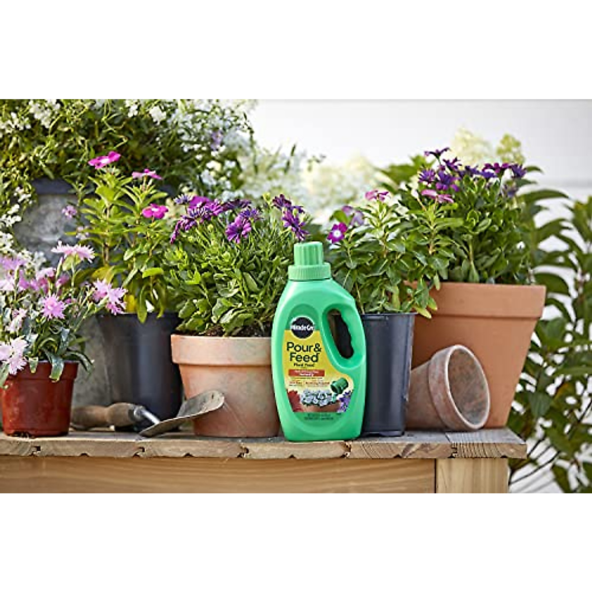 Miracle-Gro Pour & Feed Plant Food (Liquid), 32 fl. oz. (6 Pack)