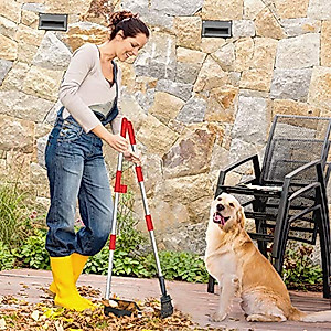 QiMH Upgraded Dog Pooper Scooper Extra Large, Adjustable Long Handle Stainless Metal Pet Poop Tray and Rake Set for Large Medium Small Dogs, Dog Waste Removal Bin Rake, Great for Grass, Street, Gravel