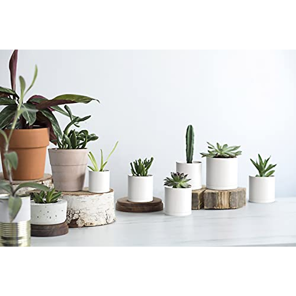 Pack of 20 Plastic Plant Pots (4 Set of 2 Inch, 2.5 Inch, 3 Inch, 3.5 Inch, 4 Inch) Small Garden Planter Pots for Plant with Drainage Holes and Saucers, White Color, 74-U-XS-1