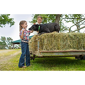 Wrangler Girls' Big Stretch Boot Cut Jean, Mid Blue, 14