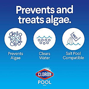 Clorox Pool&Spa 43128CLX 42128CLX Pool Algaecide
