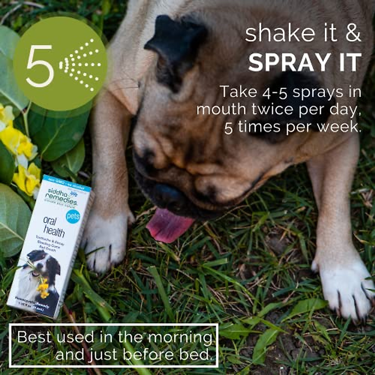 Siddha Remedies Oral Health for Pets | Cat Dog Oral Care for Toothache Decay | Breath Spray for Bad Breath, Healthy Gums Dogs Tooth Care | 100% Natural Homeopathic Remedy Cell Salts Flower Essences