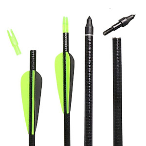 Huntingdoor Archery 31" Fiberglass Hunting Arrows Fiberglass Target Practice Arrows with Screw-in Tips for Recurve or Compound Bow(Pack of 12)