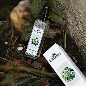 DENGWANG Herbal Cat Joy, Kitty Joy Herbal Cat Joy, Celery Pets Herbal Cat Joy, Kitty Joy Herbal Spray, Cat Stress and Anxiety Relief, Happy Living Space for Your Cat (3Pcs)