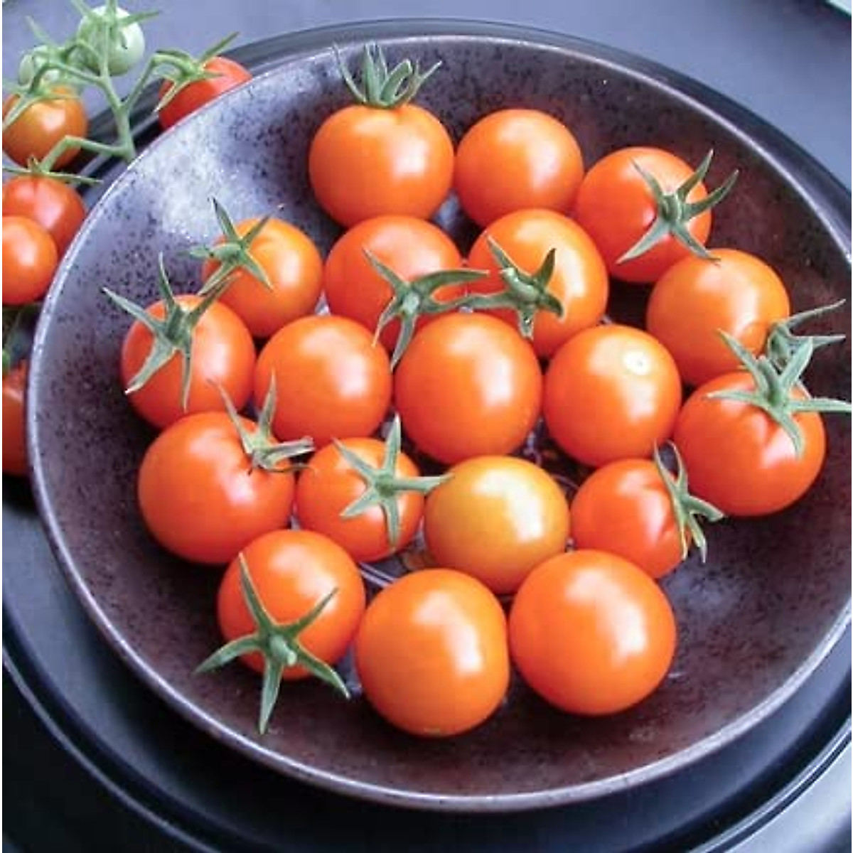 For 2024!Best Taste Cherry Tomato Seeds for Planting-Sun Gold.Non GMO Garden Seeds for Planting Vegetables Seeds at Home Vegetable Garden & Hydroponics Seed Pods:10ct Sungold Cherry Tomato Plant Seeds