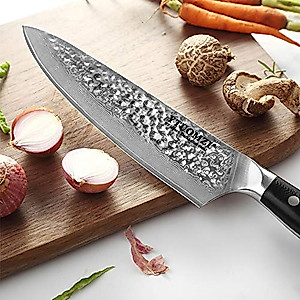 Damascus Kitchen Knife, 8 Inch Japanese Chefs Knife VG 10 Damascus Steel Knife High Carbon 67-Layer Chopping Knife, Meat Sushi Fruit Vegetable Cutting Gyuto Knife with Ergonomic G10 Handle