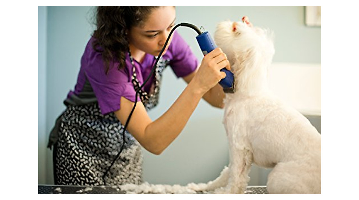 Andis UltraEdge Detachable Blade Clipper – Powerful & Quiet Pet Grooming