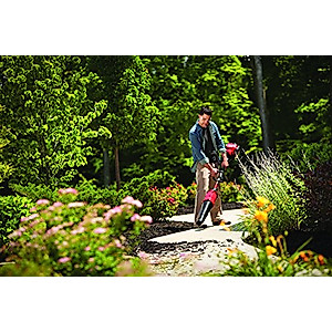 TrimmerPlus CB720 High Performance Blower Attachment with Concentrator for Attachment Capable String Trimmers, Polesaws, and Powerheads