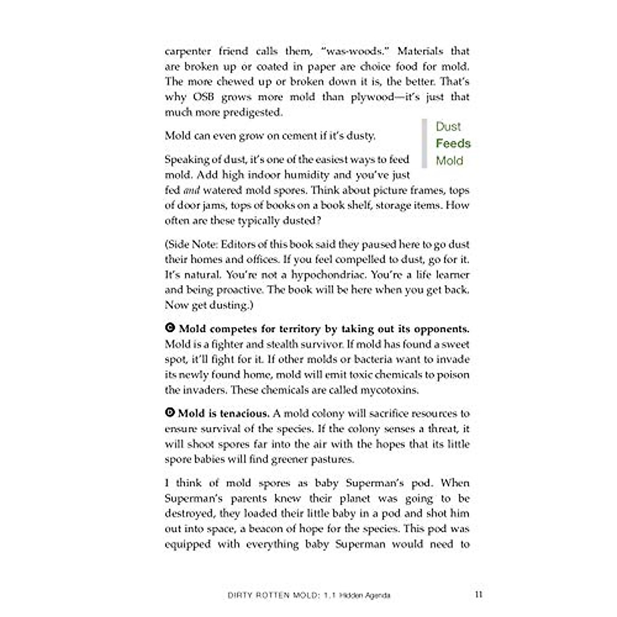 Break the Mold: 5 Tools to Conquer Mold and Take Back Your Health