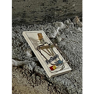 Harrier Hardware 12-Pack Rat Trap Bulk Set - Reliable Double Spring Mechanism with Sturdy Wood Base and Metal Plate for Indoor and Outdoor Quick Strong Snap