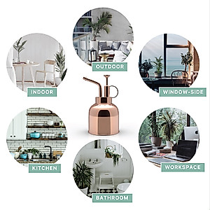 LOOPSEED Stainless Steel Plant Mister Spray Bottle Watering Can for Indoor Plants Succulent Bonsai Garden Spray Houseplant Spritzer Modern Garden Tools 10oz/300ml (ROSE GOLD)