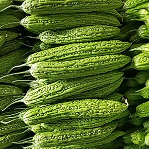 50 Pcs Non-GMO Bitter Gourd Seeds Bitter Melon Seeds Bitter Squash Seeds Balsam Pear