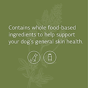 Standard Process Canine Dermal Support - Skin & Adrenal Gland Support Supplement - Comprehensive Skin Health Support Supplement for Dogs - Daily Immune & Liver Support Powder - 30 g