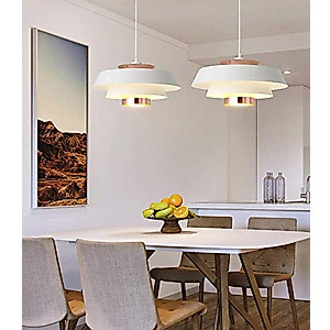 Adjustable Light Beam PAR20 PAR16 LED Spot Light Bulb 15°-60° Multi Angle Ceiling Recessed Lamp I 12W Down Light for Restaurants Display Gallery - Warm White