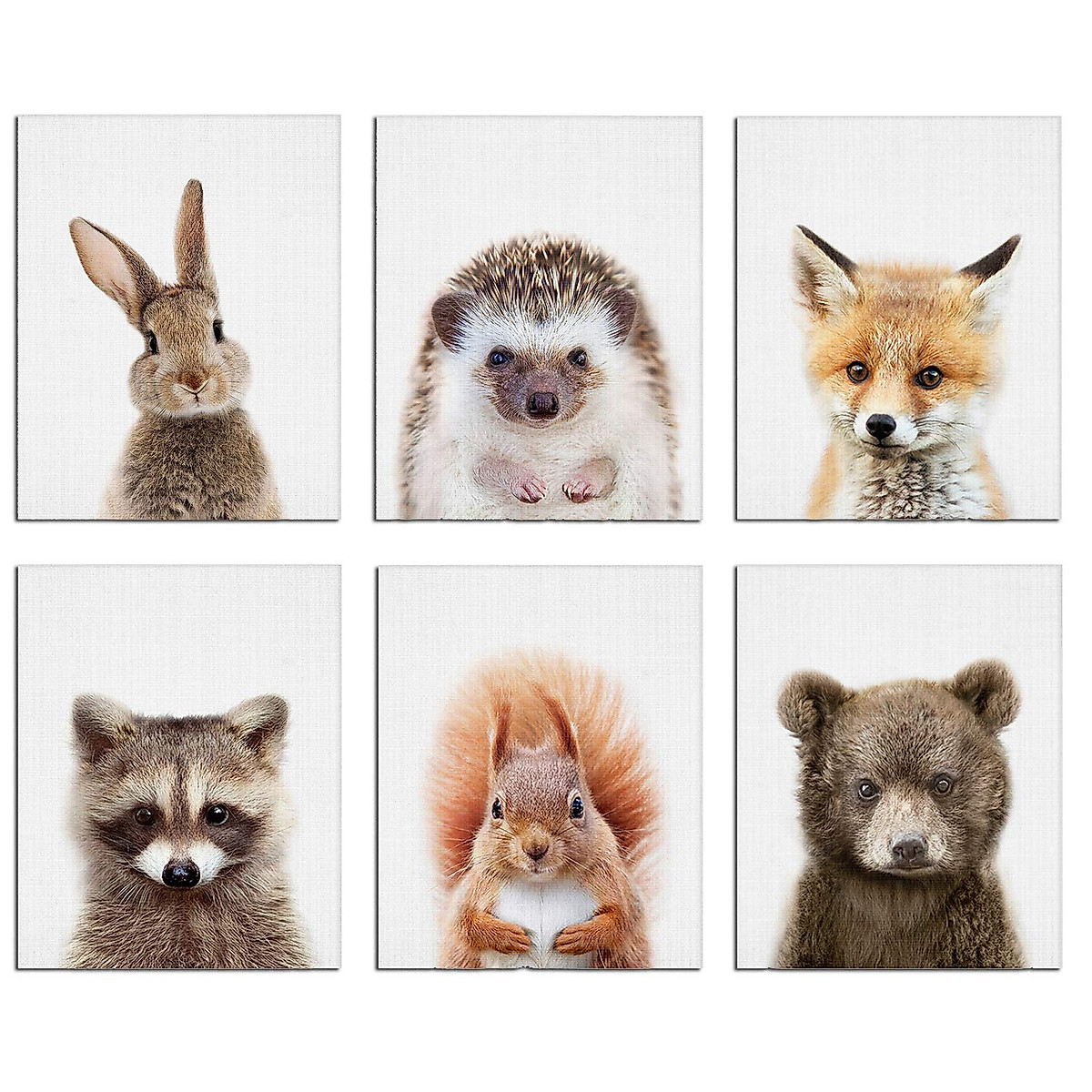 EPHANY Baby Animal Posters and Prints, Canvas Painting Nursery Pig Wall Art, Piglet Print Wall Art Nordic Picture Kids Room Decoration (YMX015,8"x10"(20x25cm))