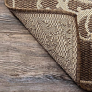 nuLOOM Frontier Coronated Trellis Indoor/Outdoor Area Rug, 8' x 10', Beige