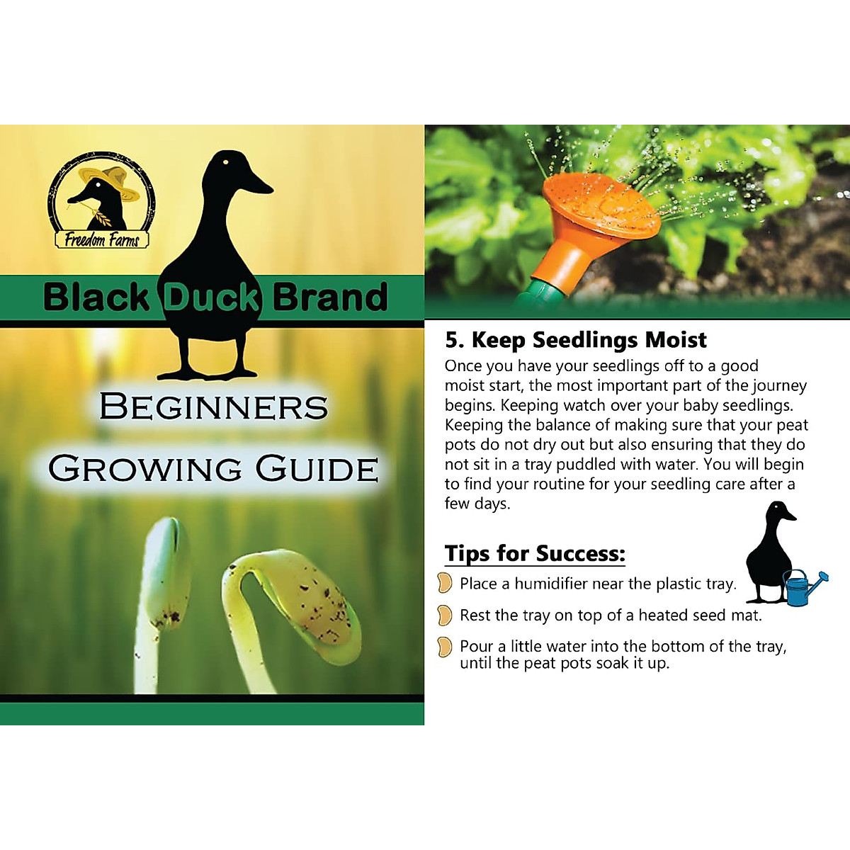 Set of 40 Assorted Vegetable Packets with Beginners Growing Guide & Mylar Storage Bag | Non-GMO | Heirloom