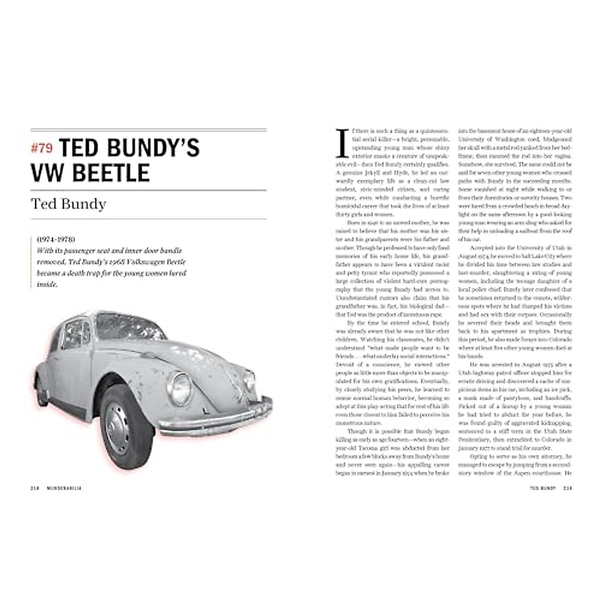 Murderabilia: A History of Crime in 100 Objects