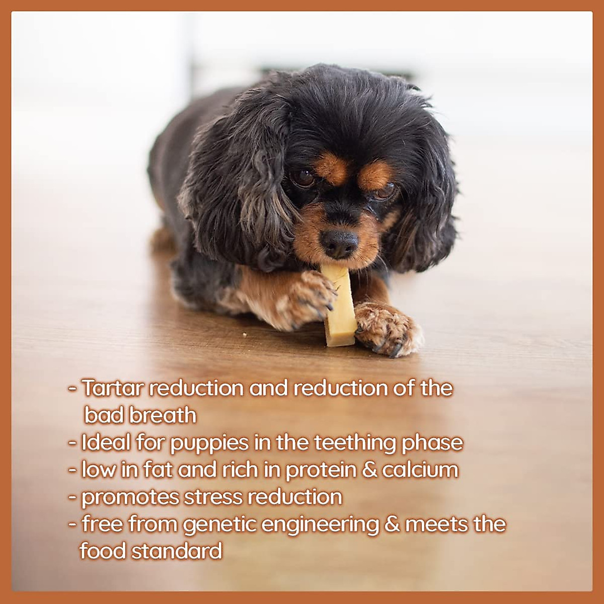 Wildfang® Yak Chews for Dogs, Chewing Bone Dog from Cow Milk - Hard Cheese Chewing Cheese for Dogs from Pasture Milk, Yak Himalaya Recipe, All Dog Sizes and Puppies, Himalaya Yak Dog Chewing Bone